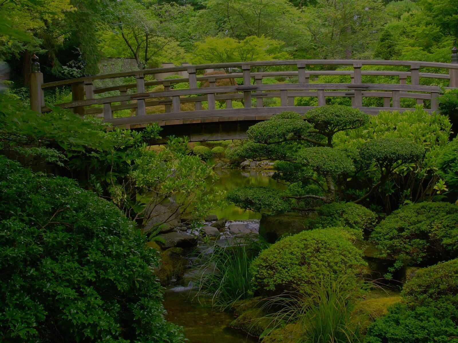 Our Services | Consultants | Bridge To Better Living